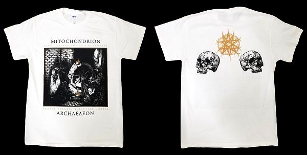 product-11293 – Dark Descent Records